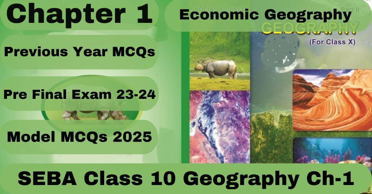 SEBA Class 10 Geography Chapter 1 MCQs | Economic Geography
