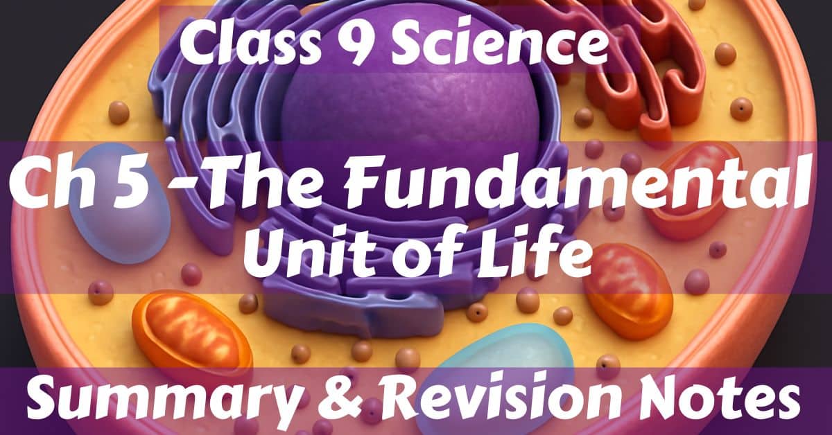 The Fundamental Unit Of Life–Class 9 Science Chapter 5–Summary ...