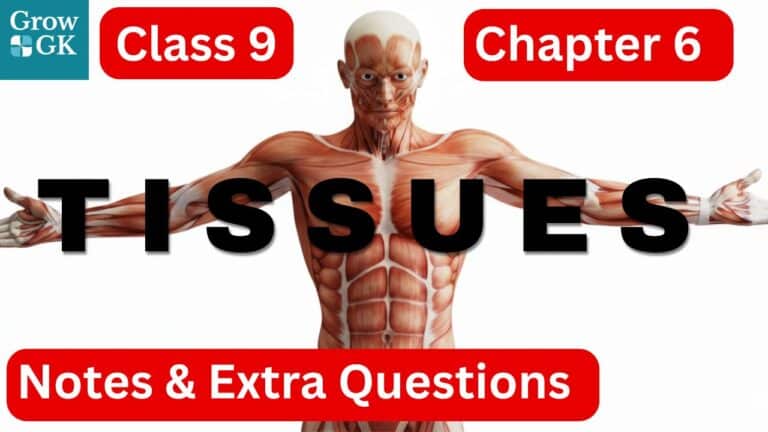 Notes On TISSUES Chapter 6 Of Class 9 And Extra Questions